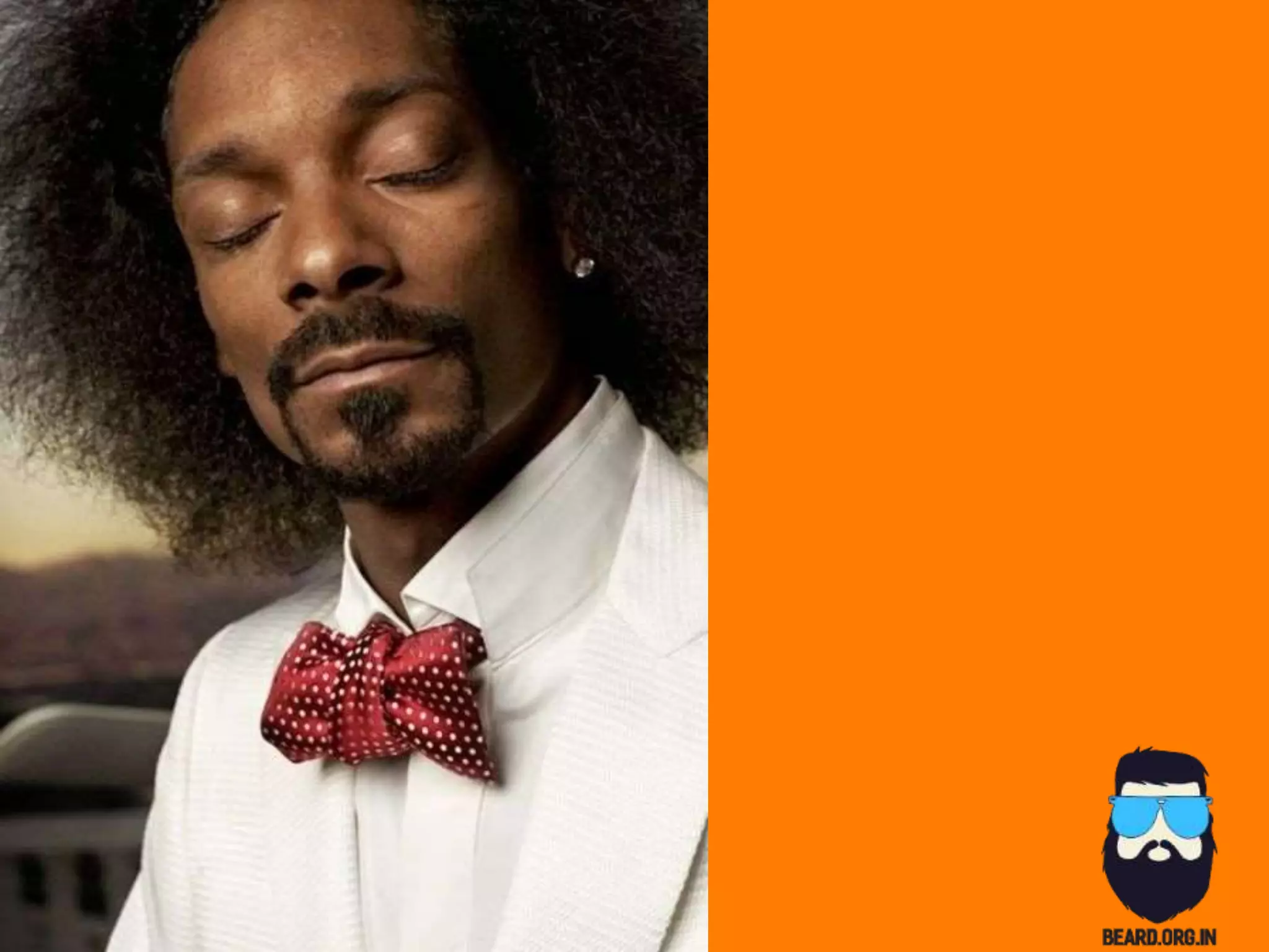 Extended Goatee Styles | PPTX
