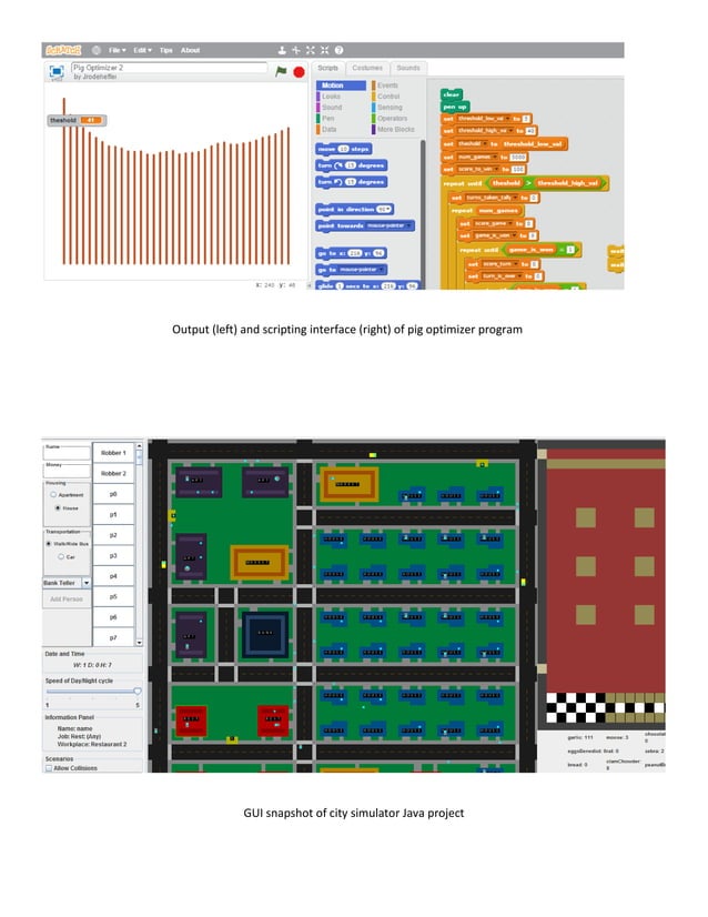 CS Portfolio | PDF