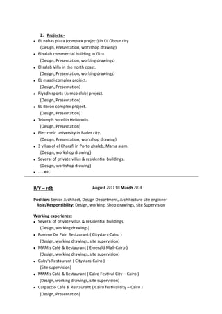 TAMER cv | PDF