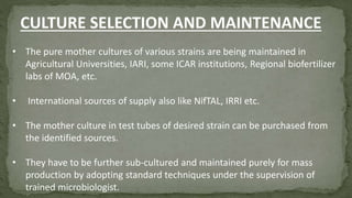 Agribusiness - Production of Biofertilizers | PPTX
