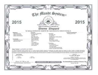 MANDT SYSTEM CERTIFICATION | PDF