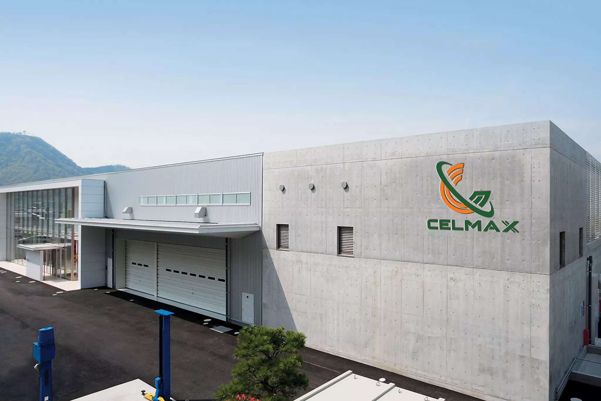 Celmax Sample Brochure Final | PPT | Free Download