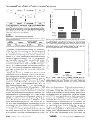 OverexpressSHIJBC | PDF