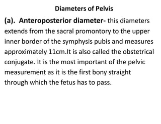 Female pelvis|| PPT | PPTX