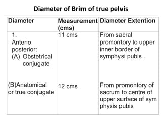 Female pelvis|| PPT | PPTX