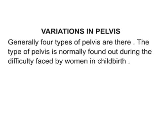 Female pelvis|| PPT | PPTX