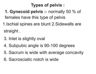 Female pelvis|| PPT | PPTX