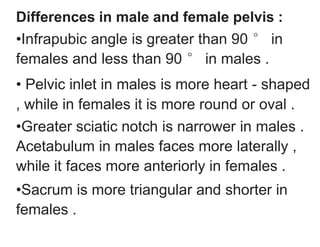 Female pelvis|| PPT | PPTX