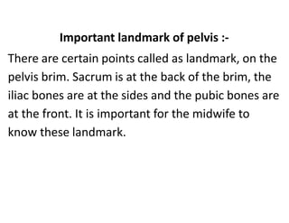Female pelvis|| PPT | PPTX