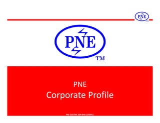 PNE Company Profile | PDF