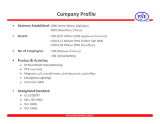 PNE Company Profile | PDF