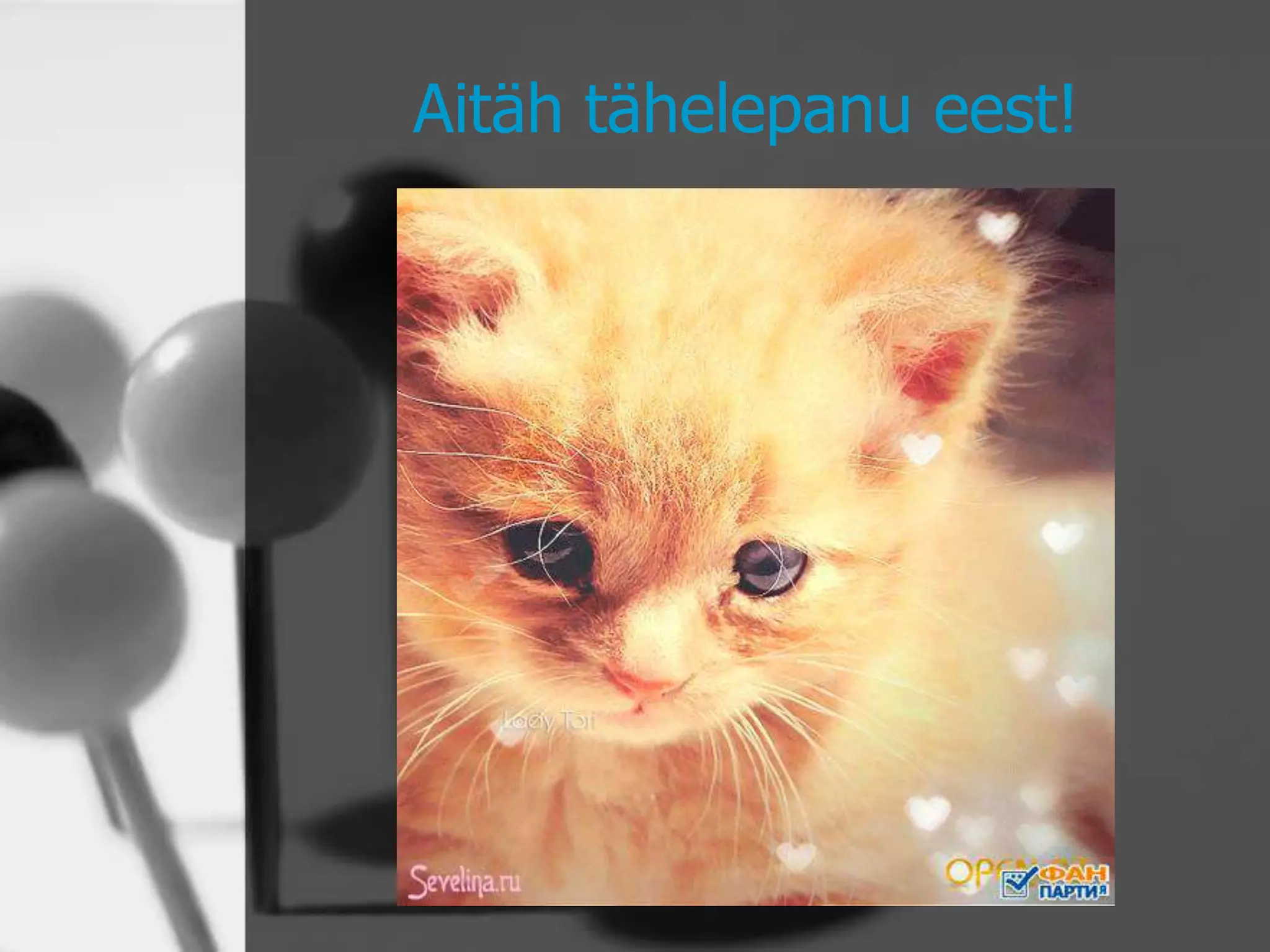 5 fakti Tartu linnast | PPTX