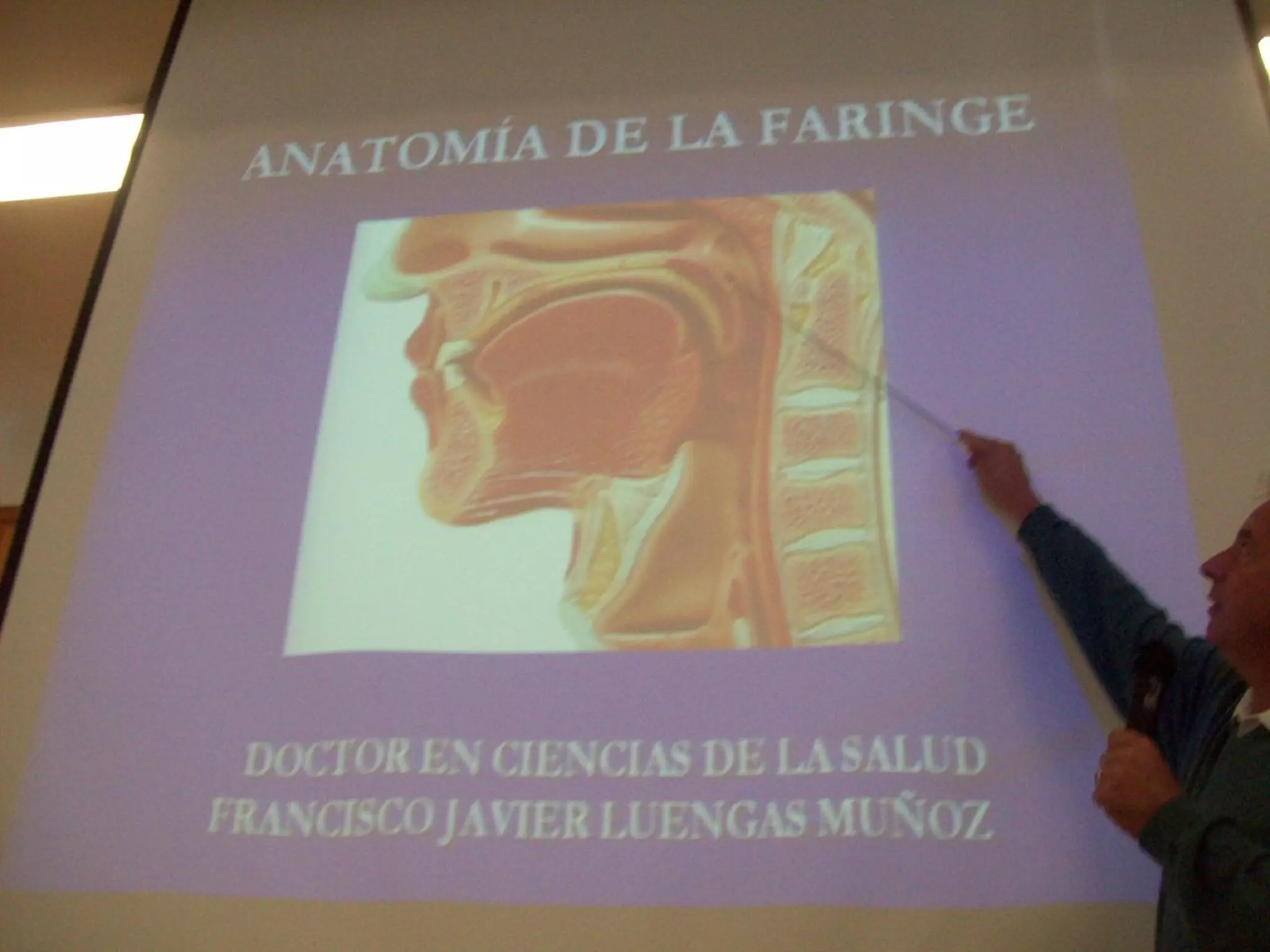 5 faringe | PPT