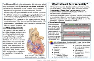 Explaining HRV using the Meridian DPA | PPT