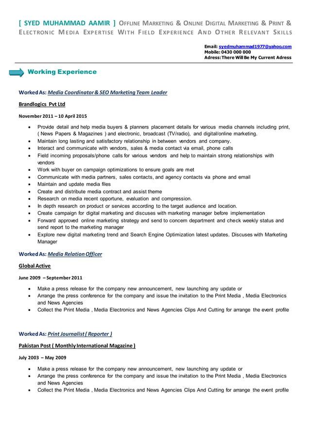 Aamir CV Final | PDF