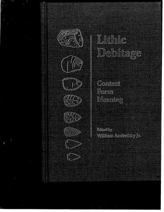 Magne Lithic Reduction Stages and Assemblage Formation Processes | PDF