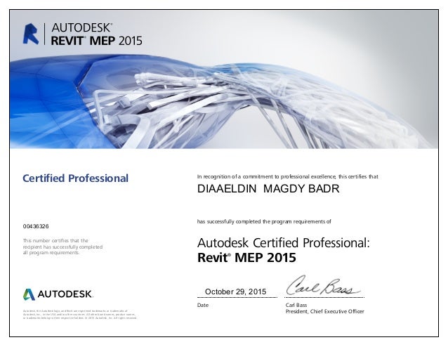 Revit professional Certificate