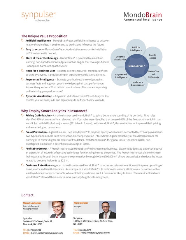 Synpulse - MondoBrain Flyer | PDF