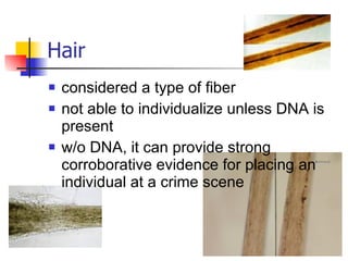 Fiber And Hair Evidence | PPT