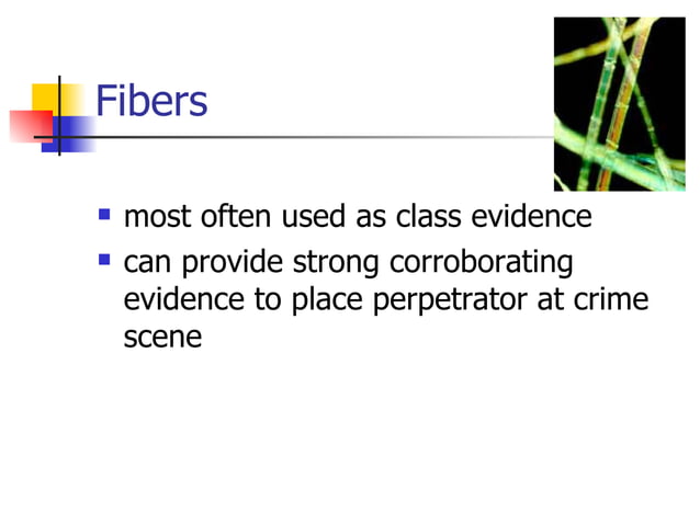 Fiber And Hair Evidence | PPT | Hair Care | Beauty