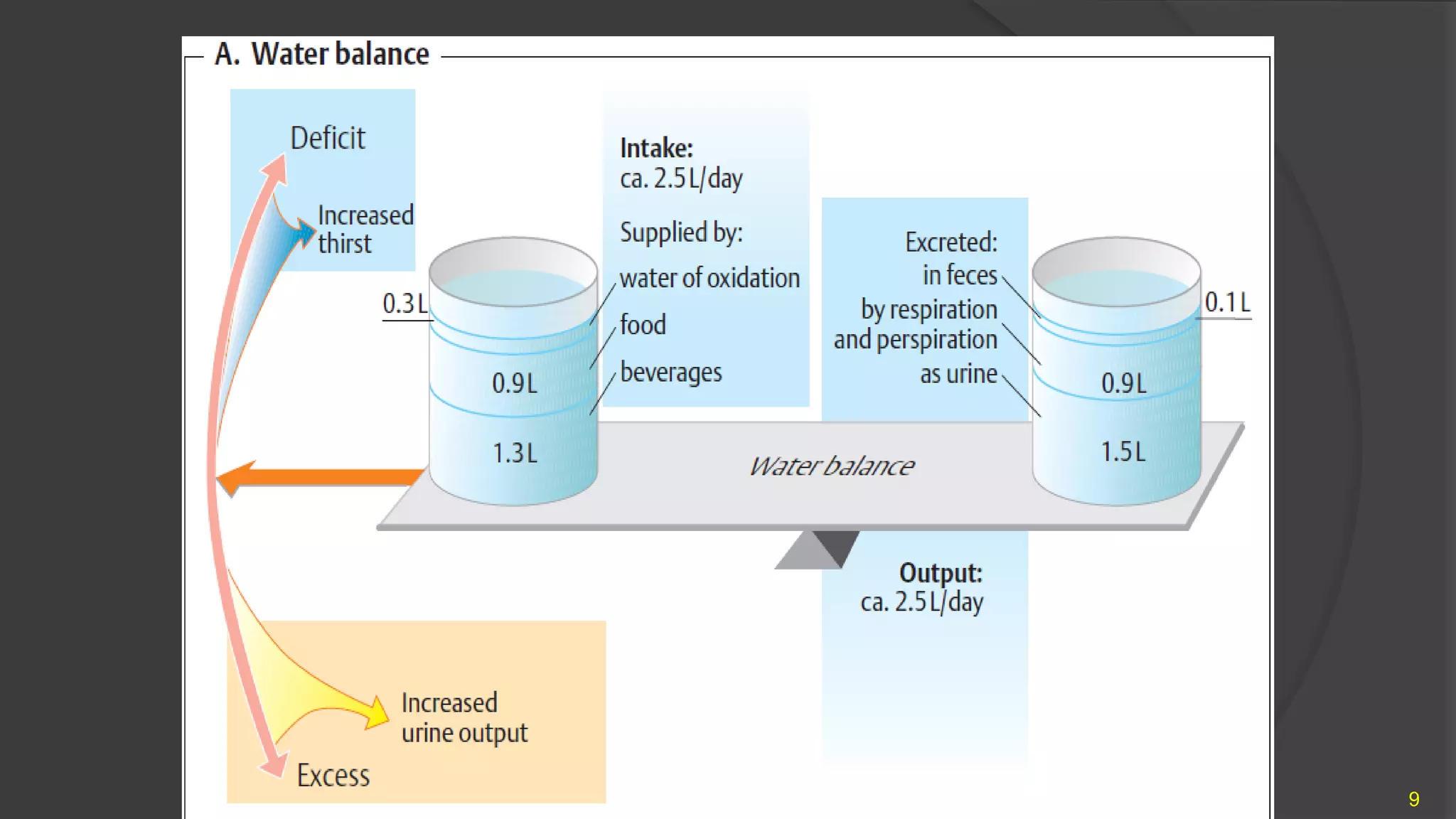 PRACTICAL APPROACH OF FLUID THERAPY IN VETERINARY CLINICAL PRACTICE IN ...