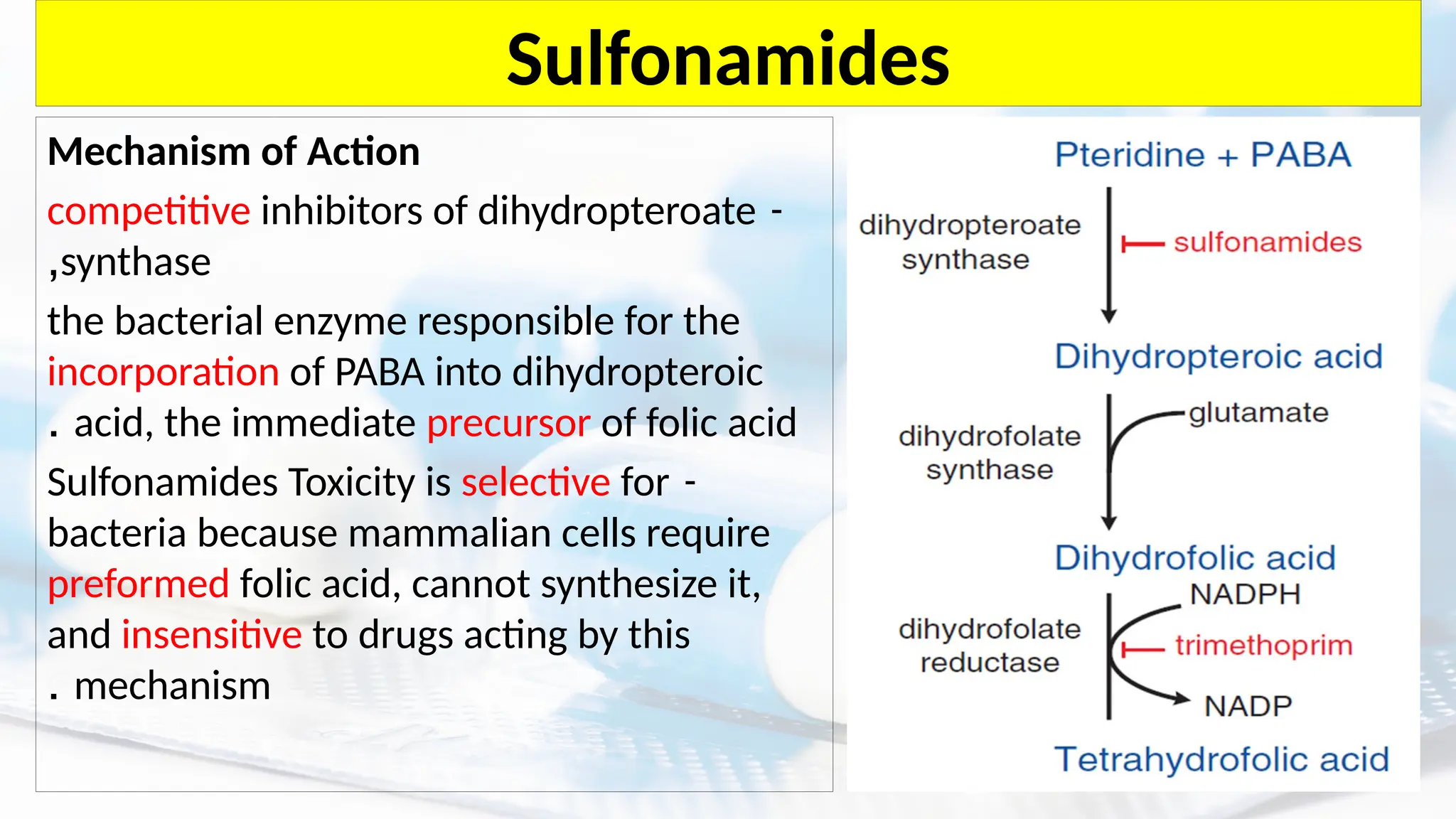 fluroquinolones and Sulfonamides antibiotics .pptx