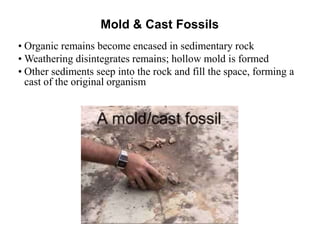 Geosphere III: Fossils | PPT