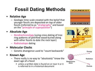 Geosphere III: Fossils | PPT
