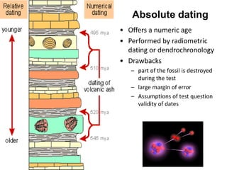 Geosphere III: Fossils | PPT