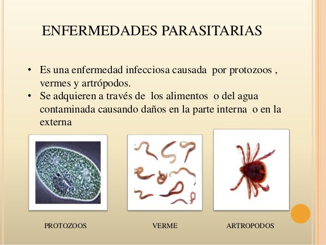 Enfermedades parasitarias EN LOS ANIMALES