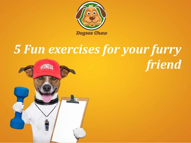 5 Fun Exercises for your Furry Friend