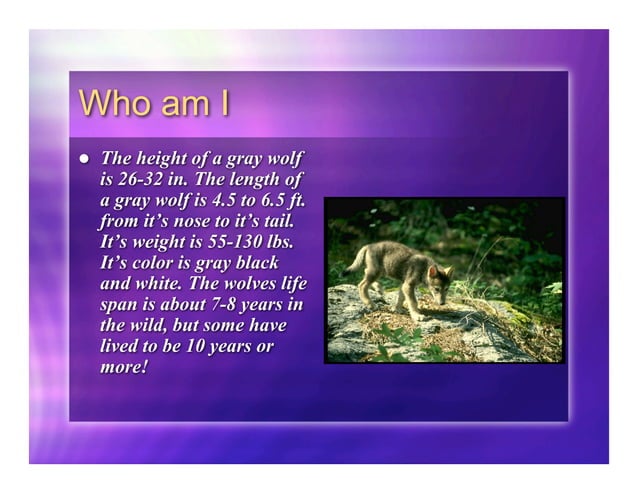 5 G Gray Wolf | PPT