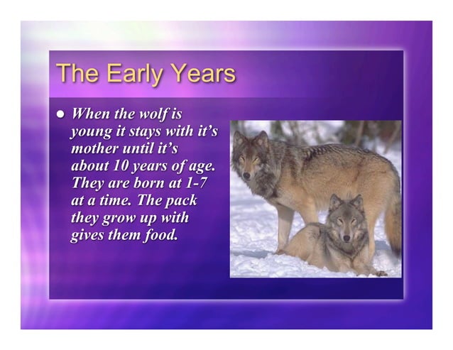 5 G Gray Wolf | PPT