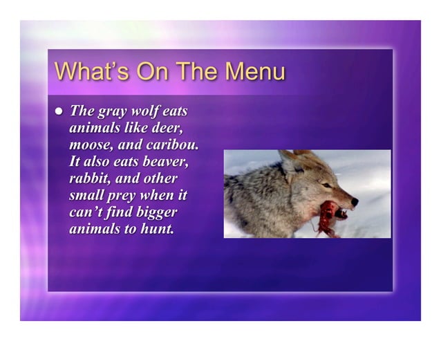 5 G Gray Wolf | PPT