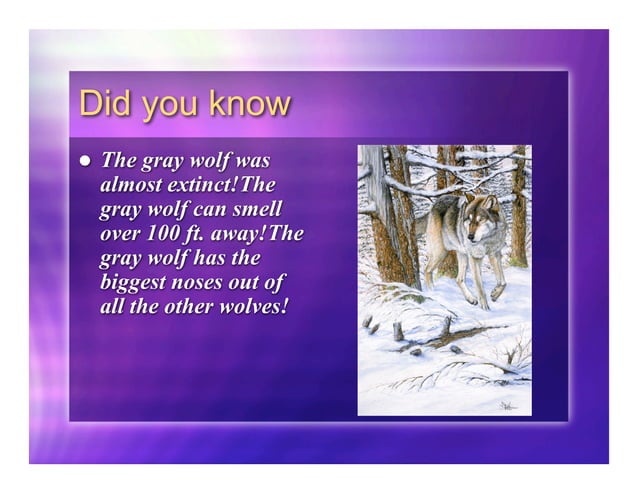 5 G Gray Wolf | PPT