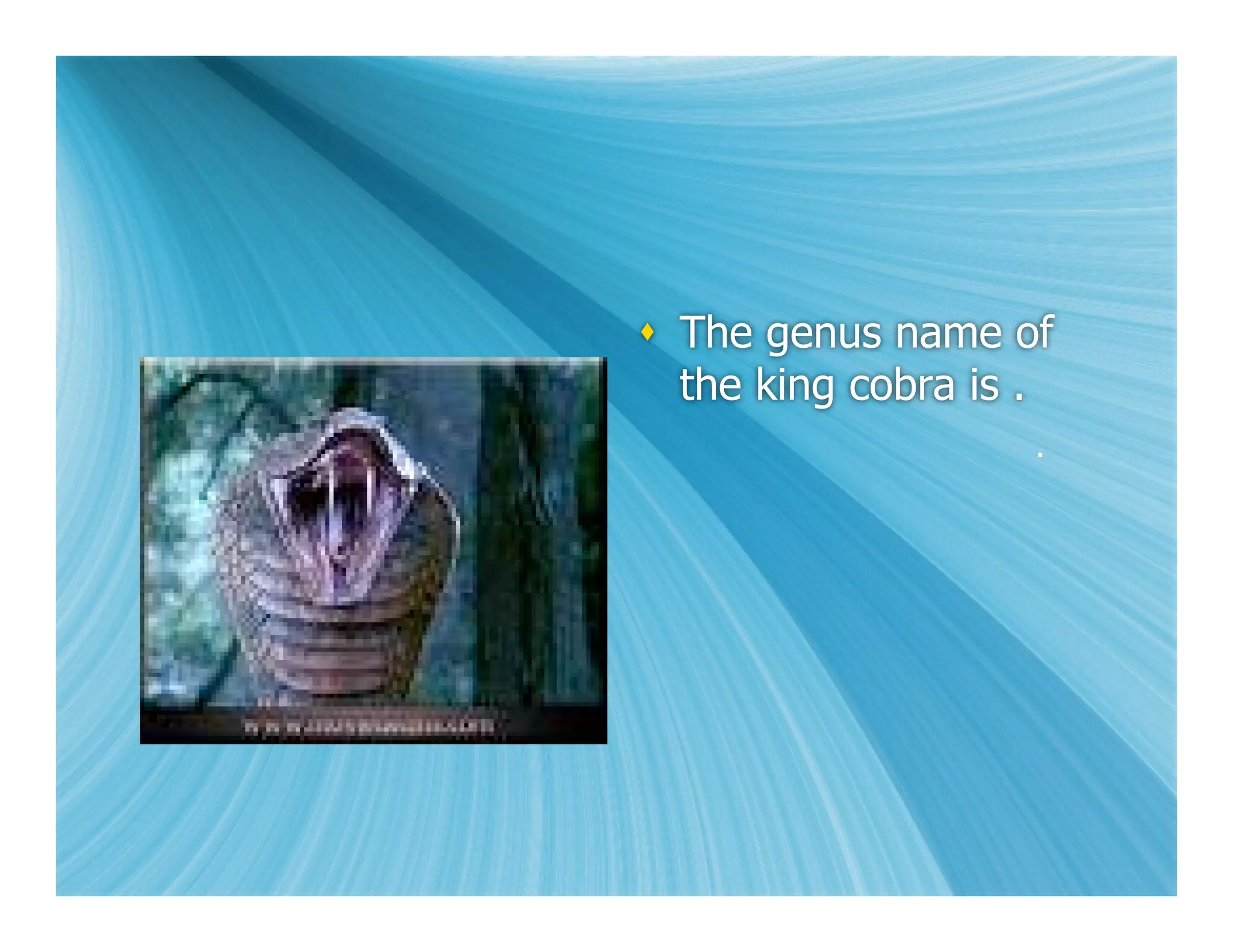 5 G King Cobra | PDF