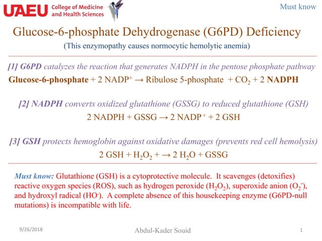 G6PD deficiency.ppt | Blood Disorders | Diseases and Conditions
