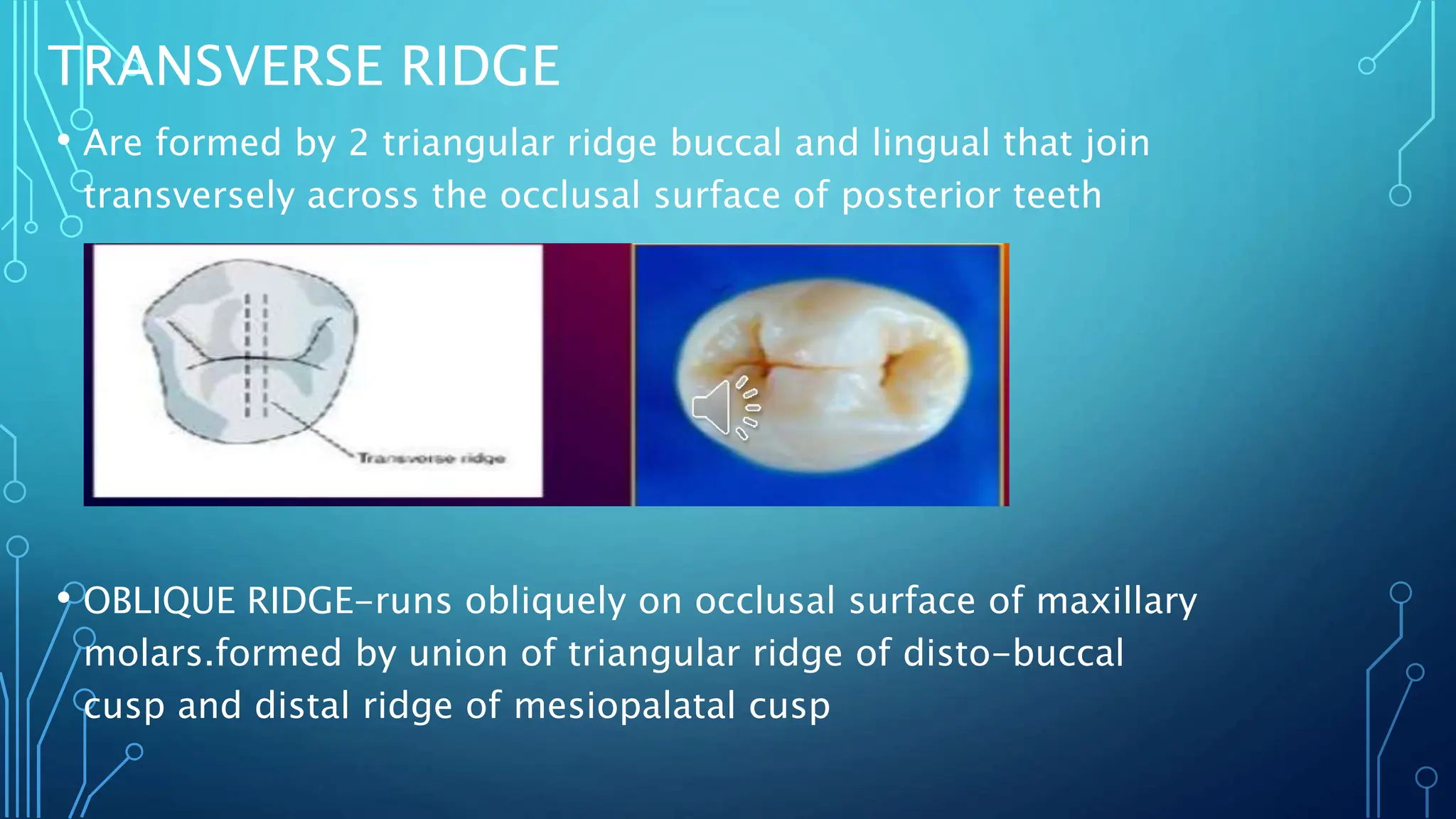 ANATOMICAL_LANDMARKS_OF_TEETH.pptx