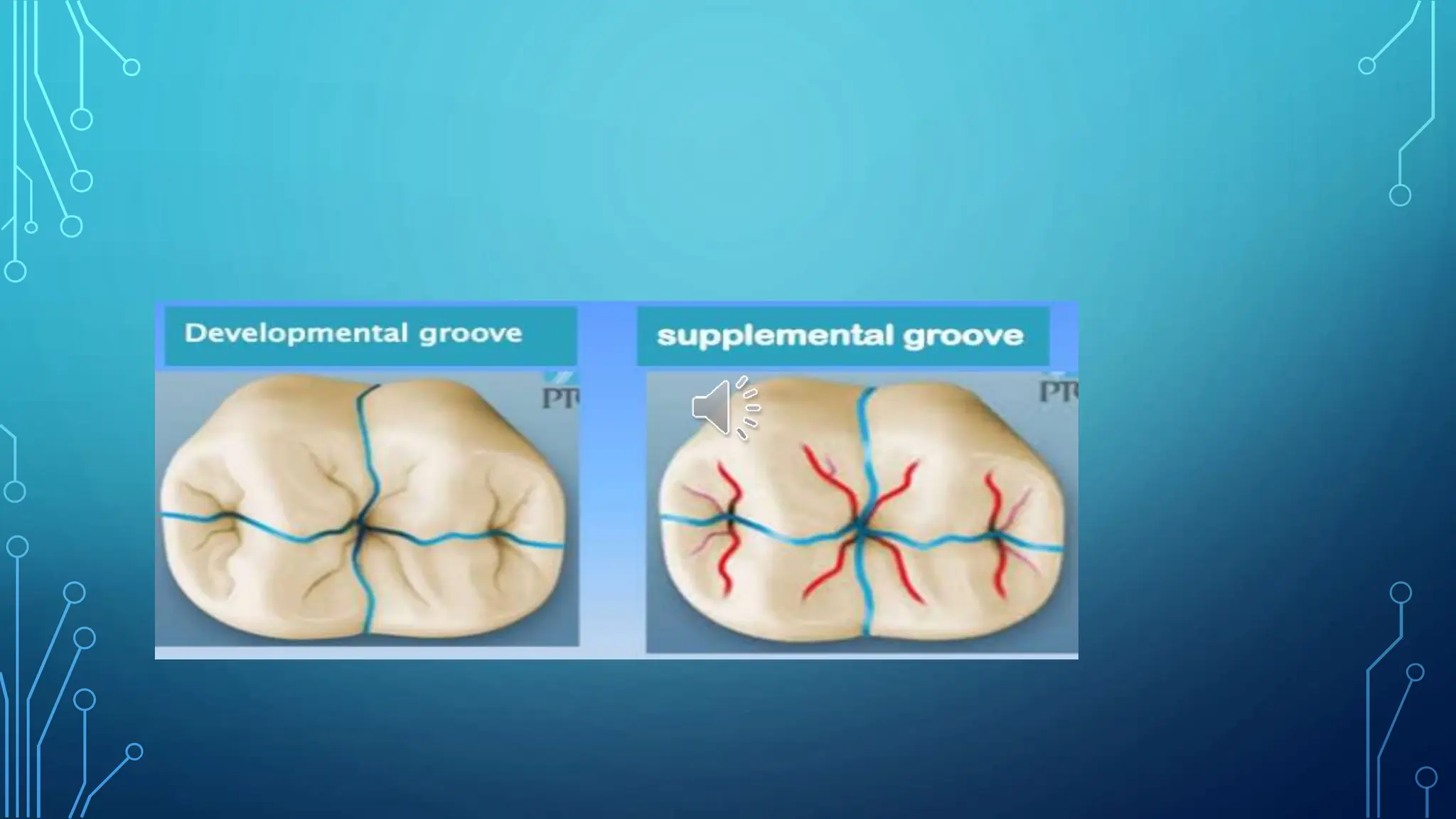 ANATOMICAL_LANDMARKS_OF_TEETH.pptx
