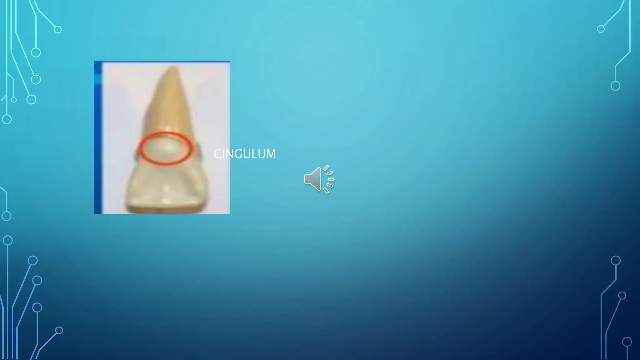 ANATOMICAL_LANDMARKS_OF_TEETH.pptx