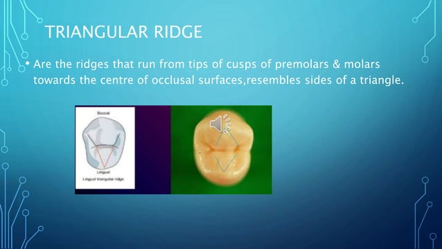 ANATOMICAL_LANDMARKS_OF_TEETH.pptx