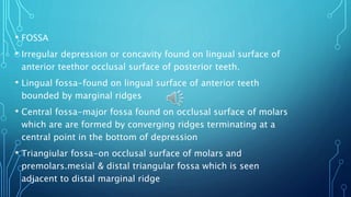 ANATOMICAL_LANDMARKS_OF_TEETH.pptx