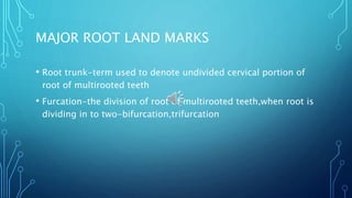 ANATOMICAL_LANDMARKS_OF_TEETH.pptx