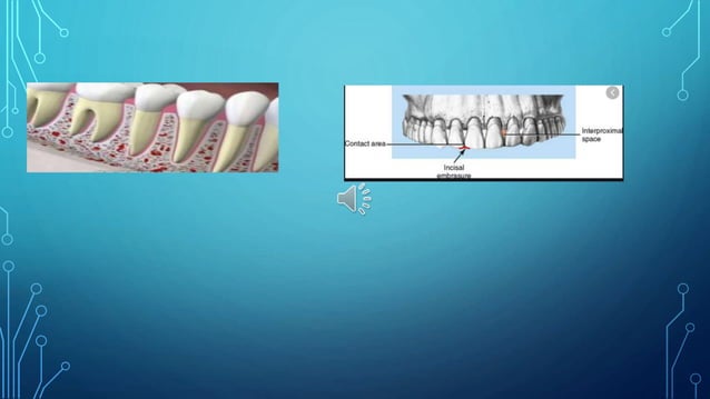 ANATOMICAL_LANDMARKS_OF_TEETH.pptx