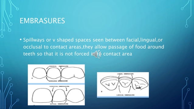 ANATOMICAL_LANDMARKS_OF_TEETH.pptx