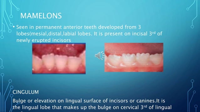 ANATOMICAL_LANDMARKS_OF_TEETH.pptx