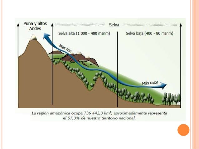 5 geo relieve amazonico