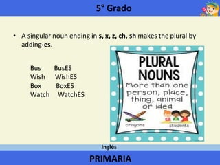 5° GRADO ENGLISH | PDF