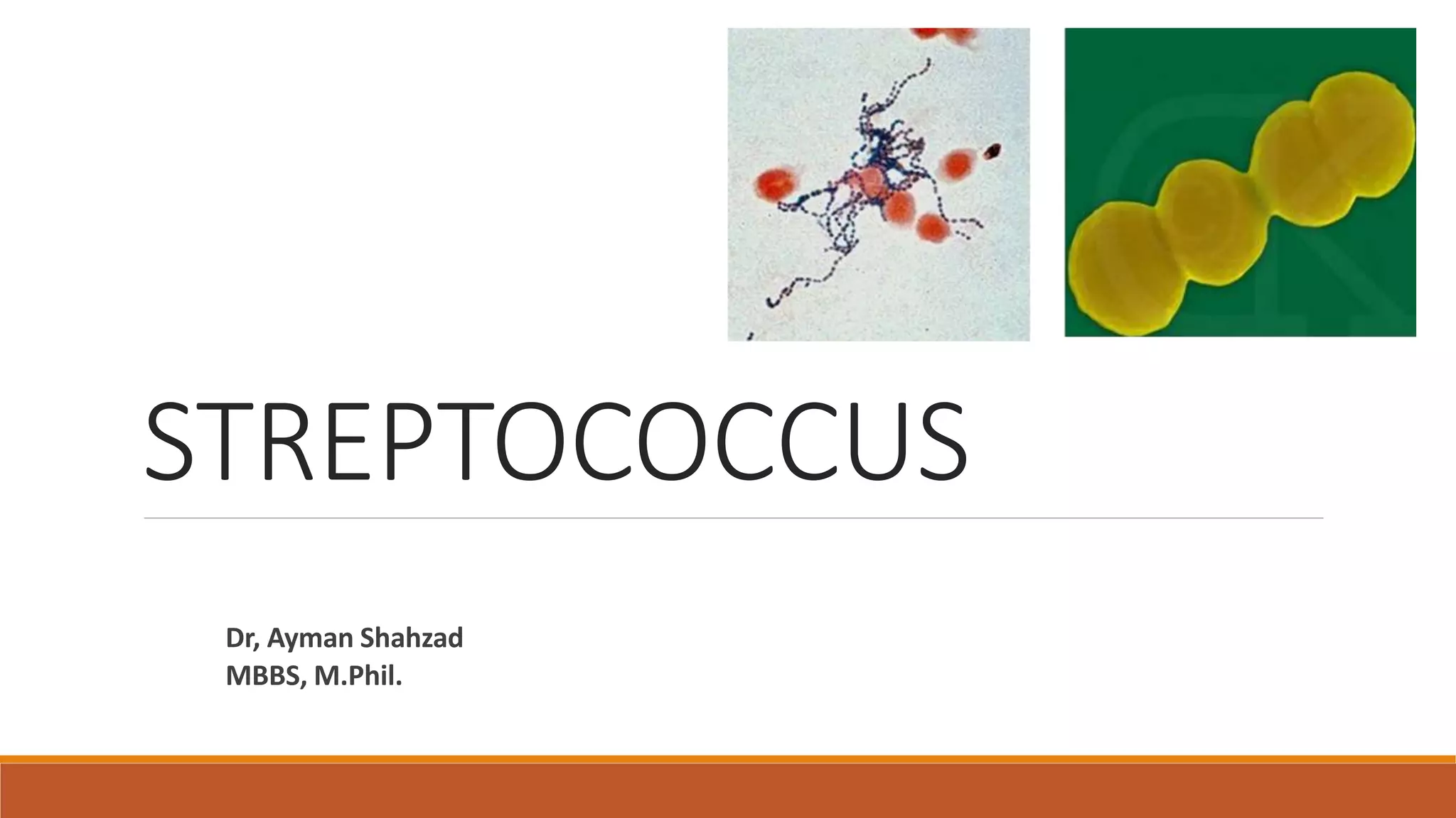 5 Gram + cocci STREPTOCOCCUS.pptx