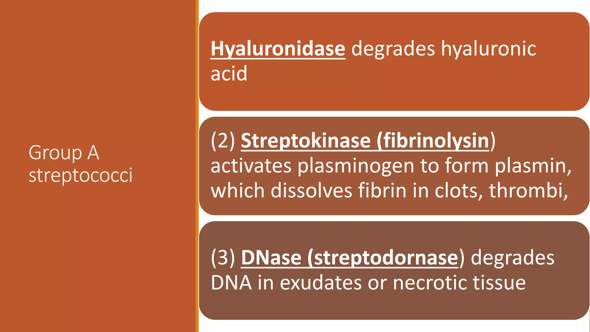 5 Gram + cocci STREPTOCOCCUS.pptx